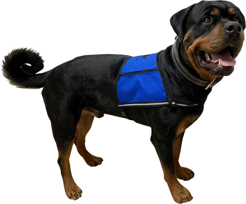Personalized Service Dog Pocket Starter Cape - ActiveDogs