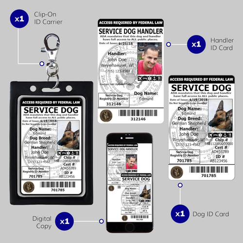 Registered Service Dog & Handler Plastic ID - ActiveDogs.com