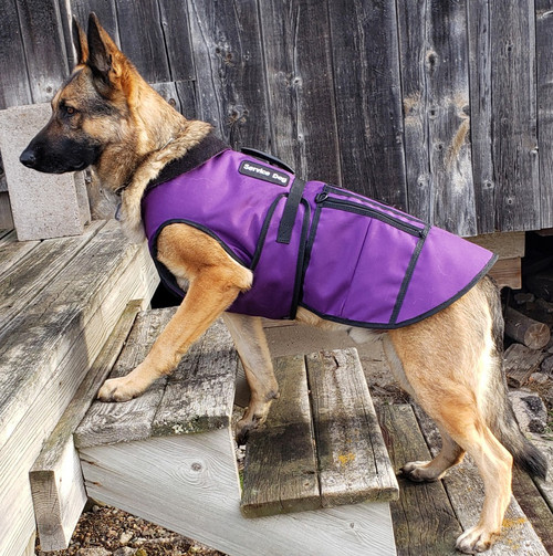 Cold Weather Service Dog Coat Vest w/ Custom Patches - ActiveDogs