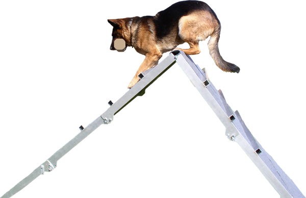 Schutzhund Dog Scaling Wall A-Frame | ActiveDogs.com