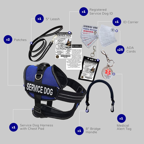 Service Dog Vest Kit | Service Dog Kit from Active Dogs