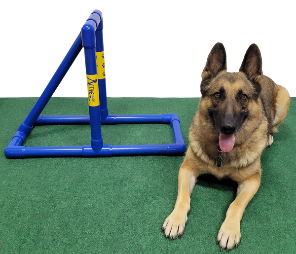 Dog Walk Ramp Supports For Dog Agility Training - ActiveDogs.com