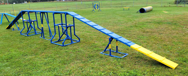 Deluxe Double Dog Walk Base With Side Ramps