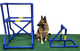 Deluxe Double Dog Walk Base With Side Ramps