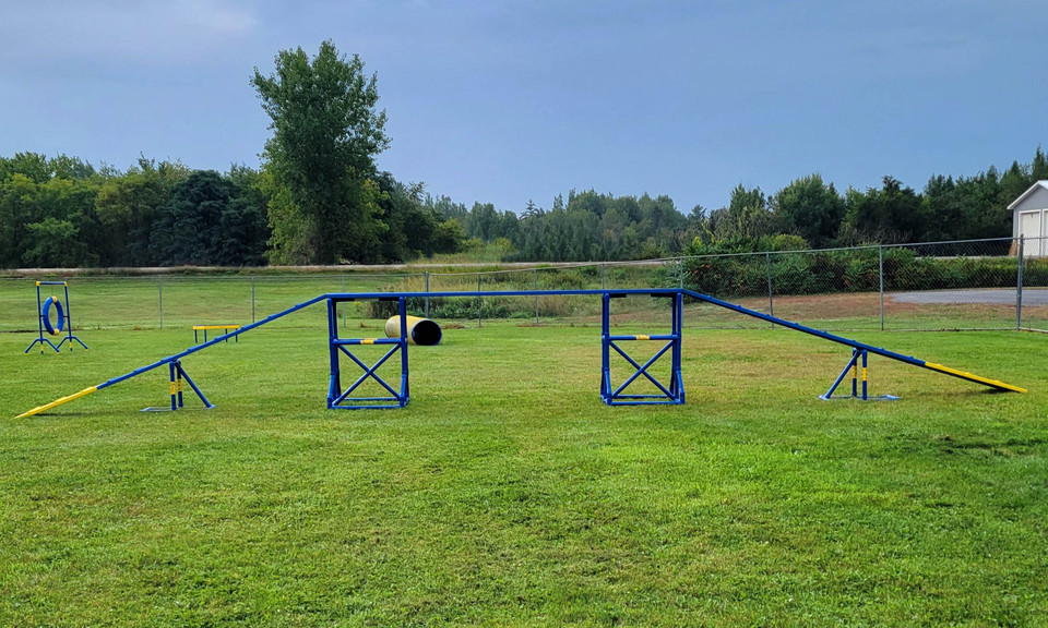 Deluxe Double Dog Walk Base With Side Ramps