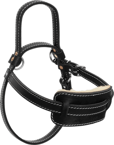 Leather Guide Dog Harness w/ Steel Bar Handle - ActiveDogs.com