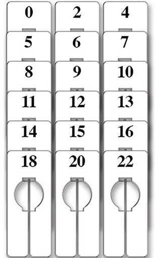 Rectangular Size Dividers for Hangrail - Women's Variety Pack 5"L x 2"W