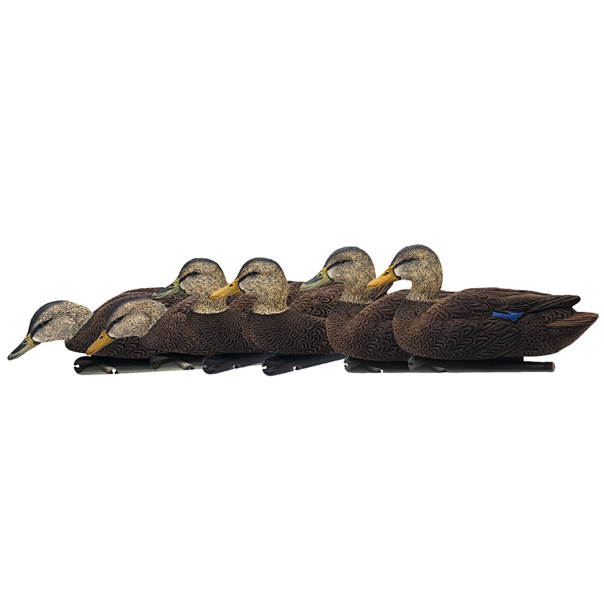 Avian-X Flocked Black Duck Floaters - 6 Pack | Rogers Sporting Goods