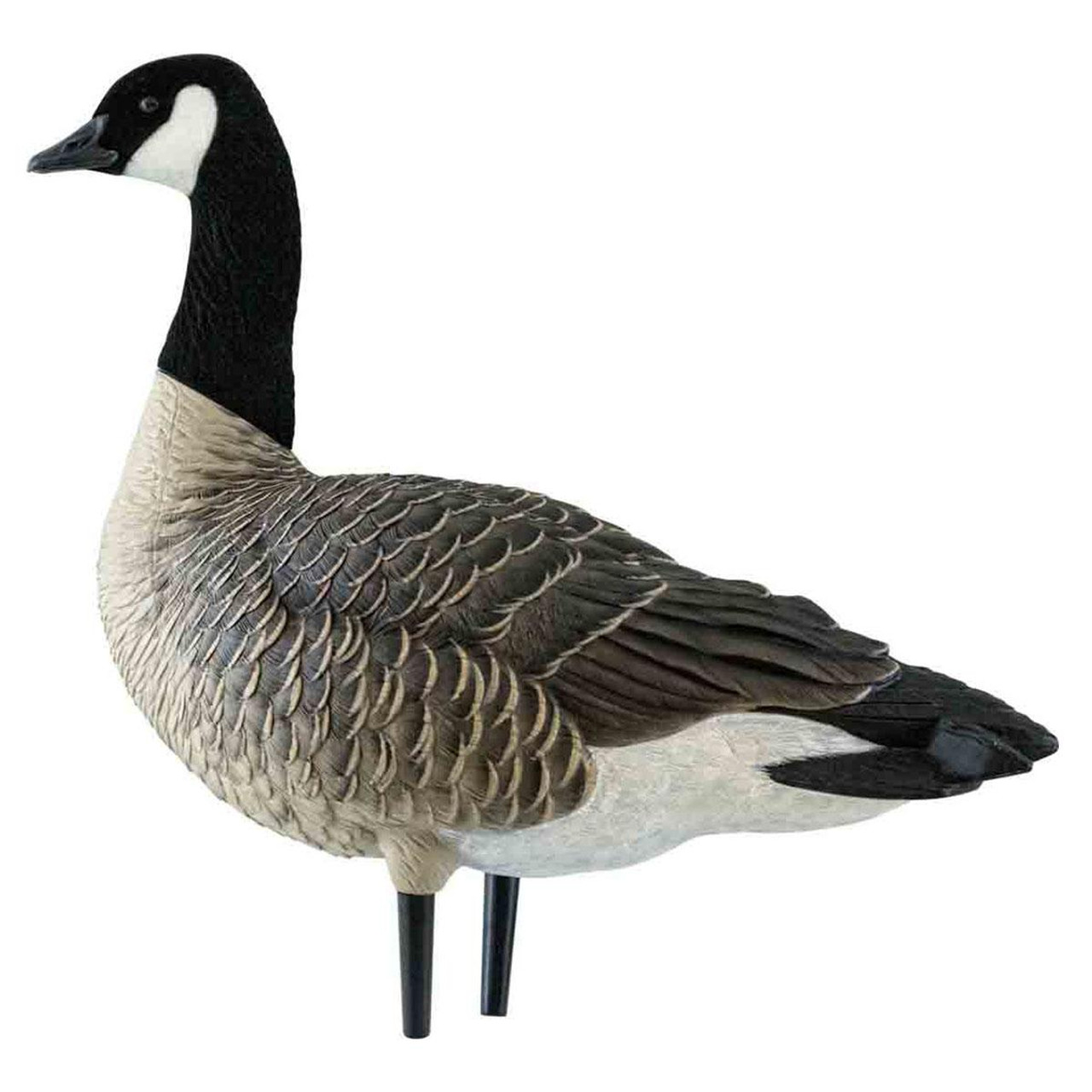 Avian-X AXF Outfitter Lesser Pack Fully Flocked Decoys, 12 Pack with ...