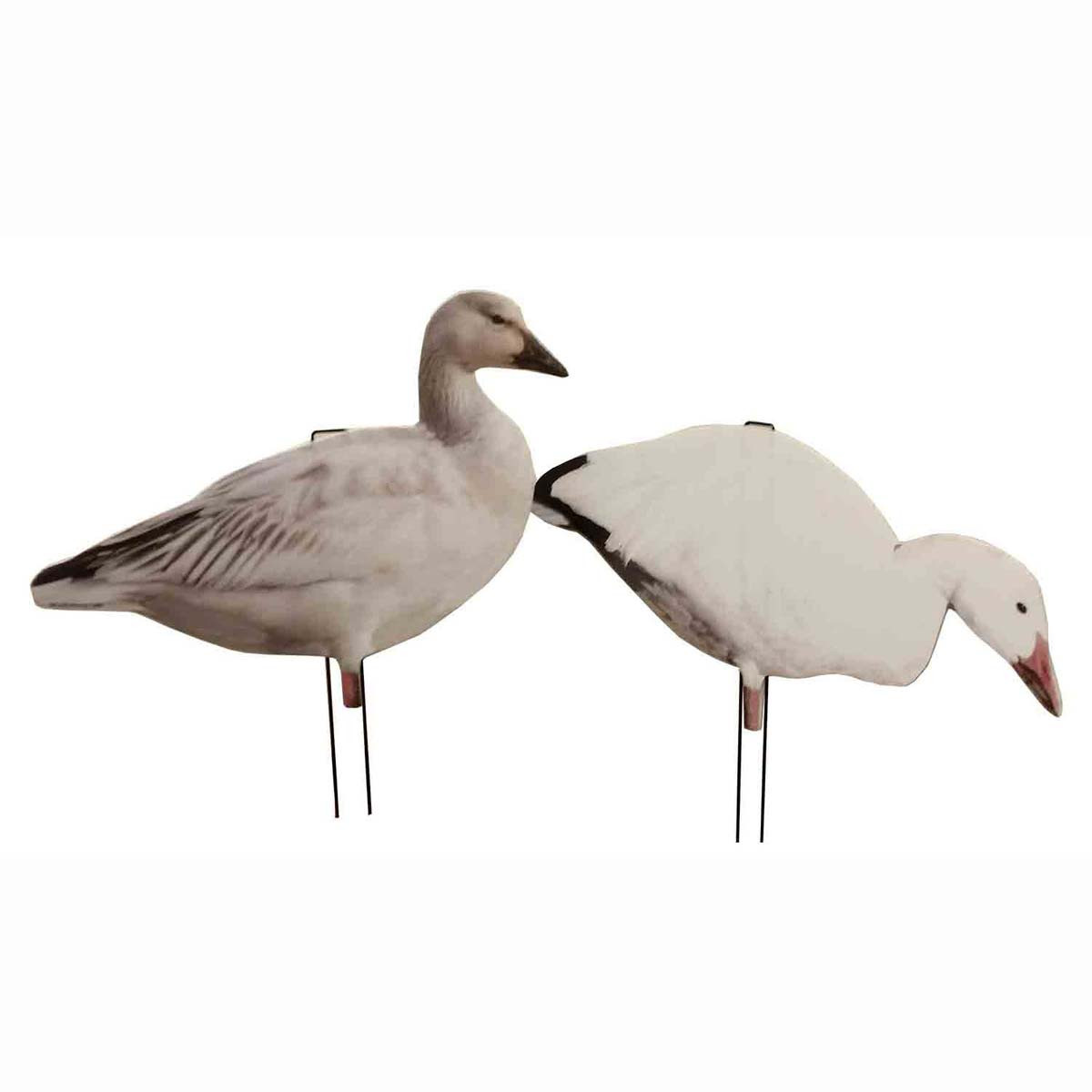 Big Als Decoys Snow Goose Silhouette, 12 Pack | Rogers Sporting Goods