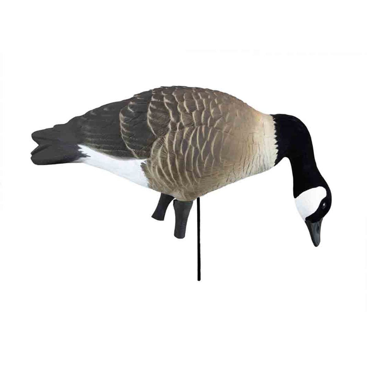 Higdon Apex Full-Size Full-Body Canada Goose Decoys, 6 Pack | Rogers ...