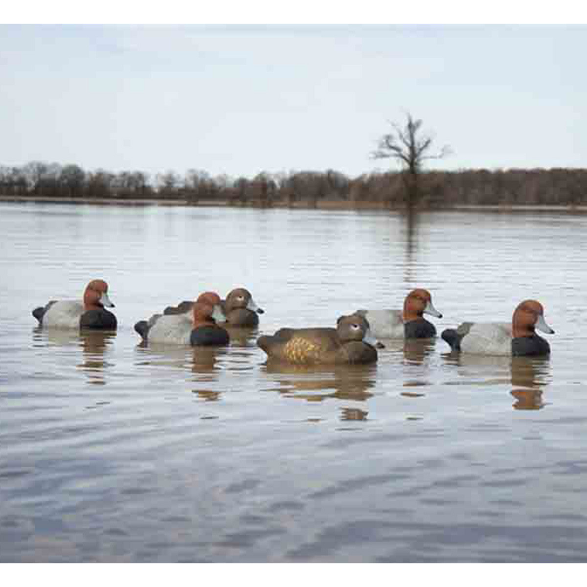 Higdon Standard Redhead Foam-Filled Duck Decoys - 12 Pack | Rogers ...