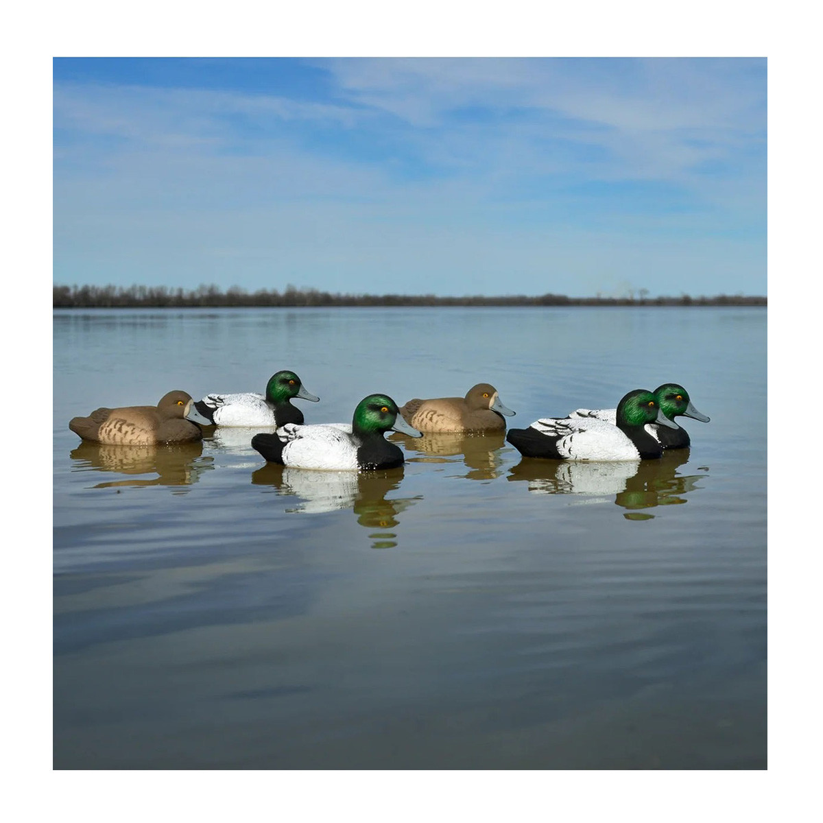 Higdon Standard Bluebill Foam-Filled Duck Decoys - 12 Pack | Rogers ...