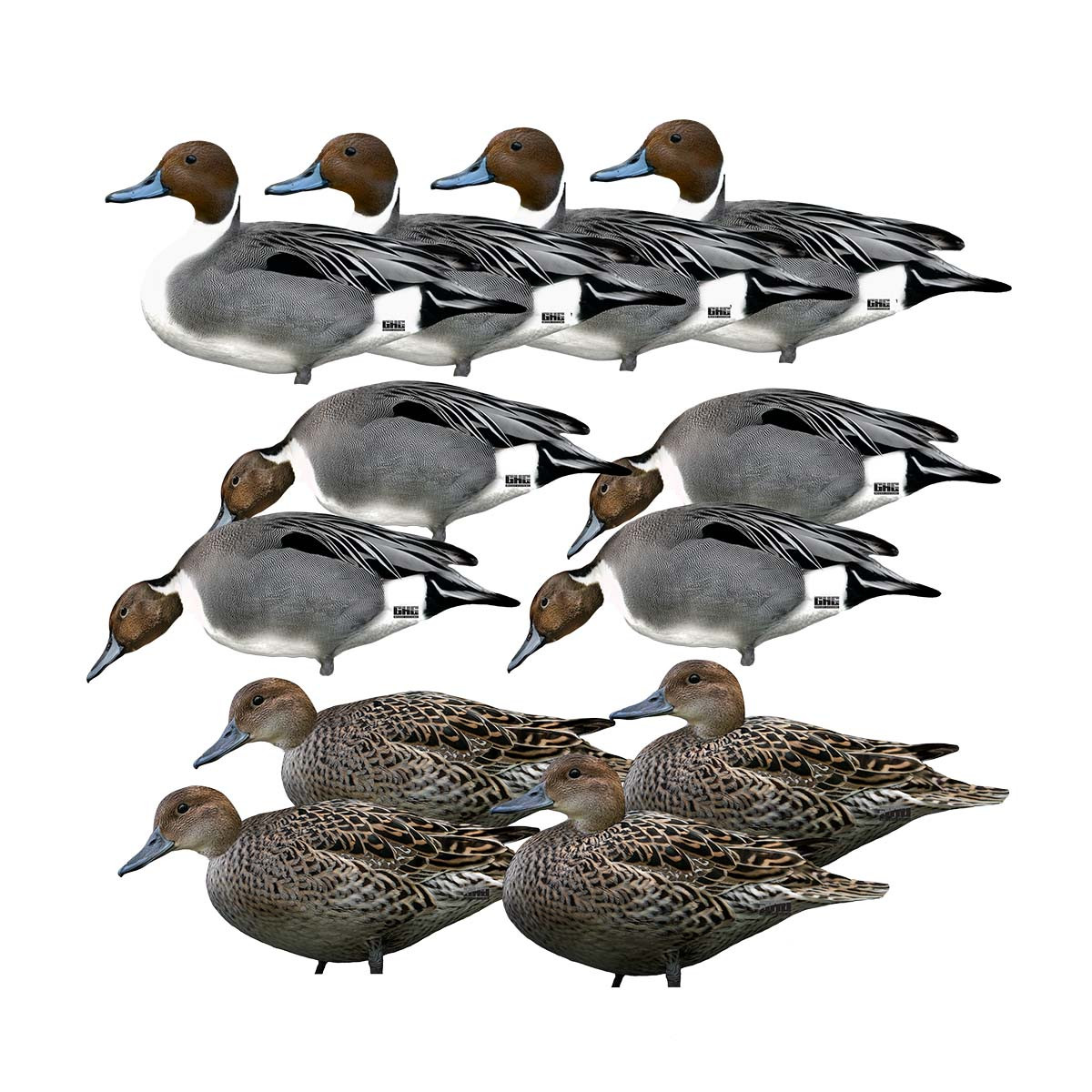 GHG Mallard Duck Silhouette Decoys | Pack of 12 | Rogers Sporting Goods