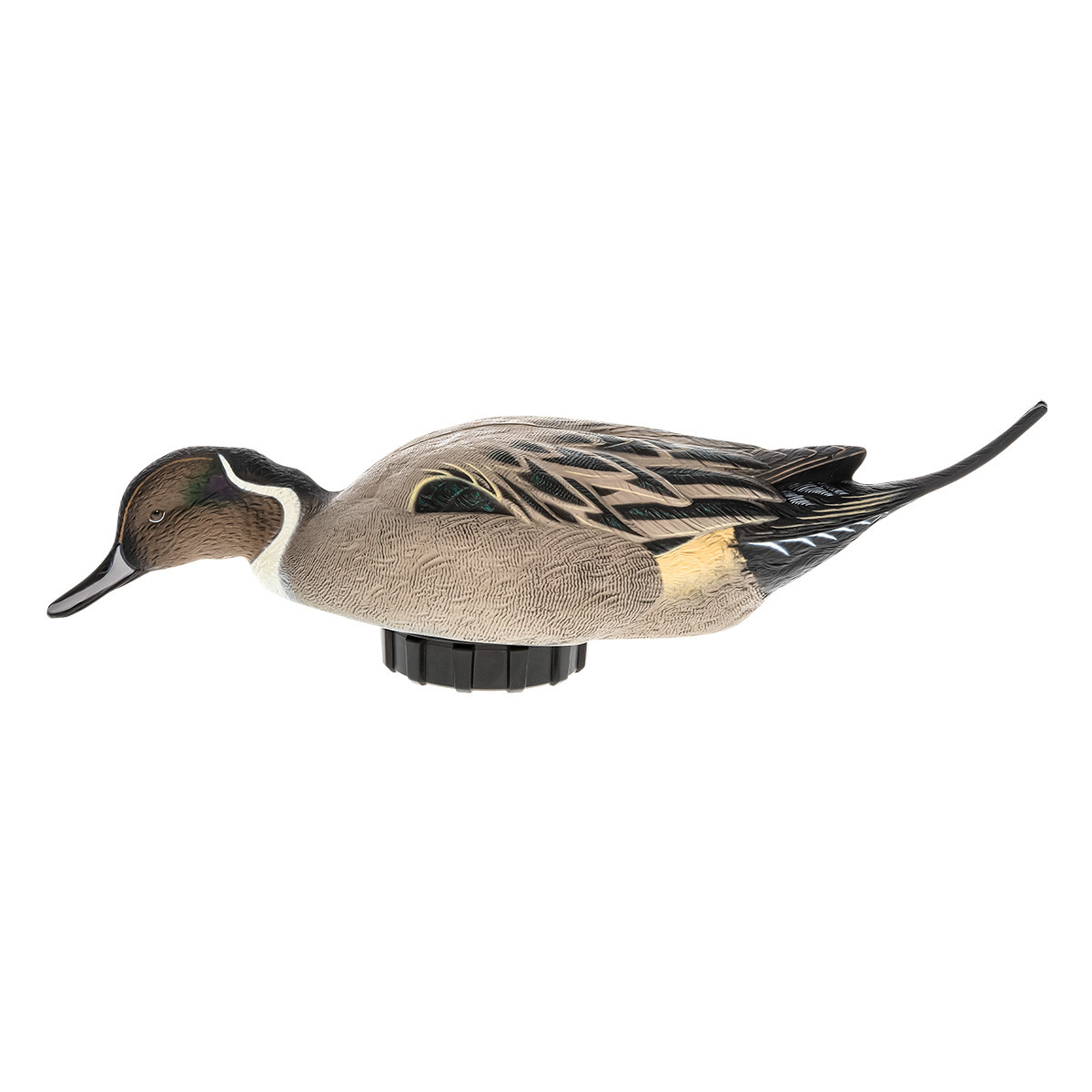 Avian-X Power Shaker Pintail Surface Feeder Duck Decoy | Rogers ...