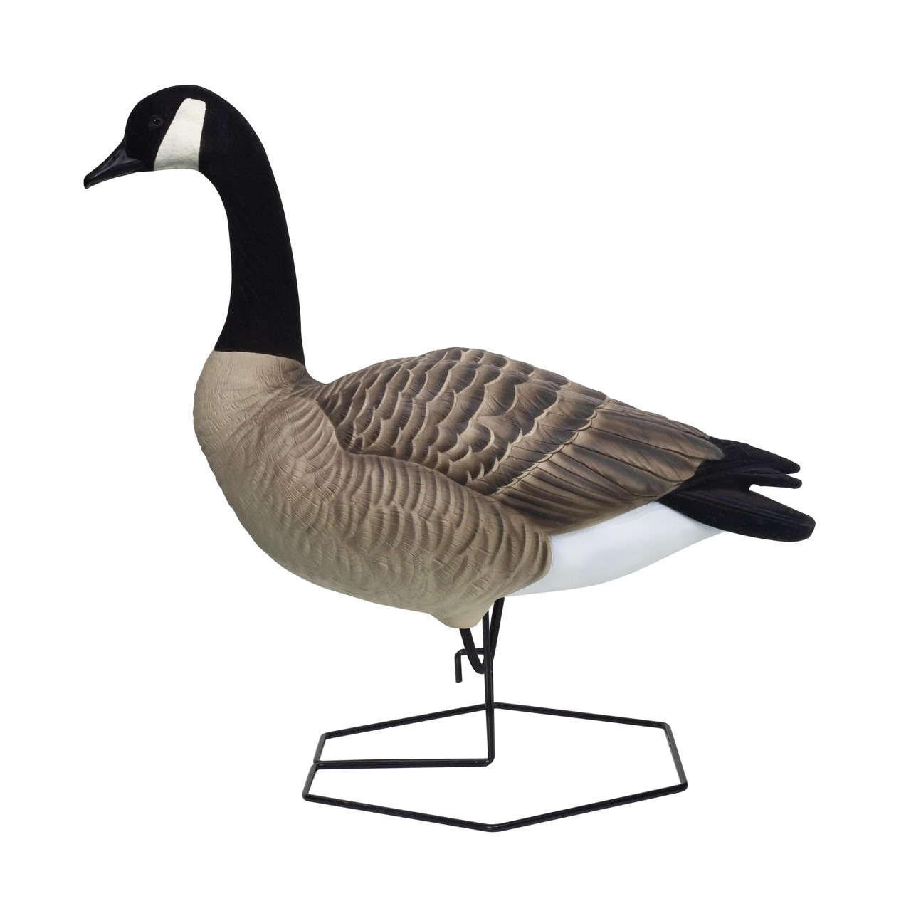 DOA Decoys Rogue Series Full Body Canada Goose Decoys | Rogers Sporting ...