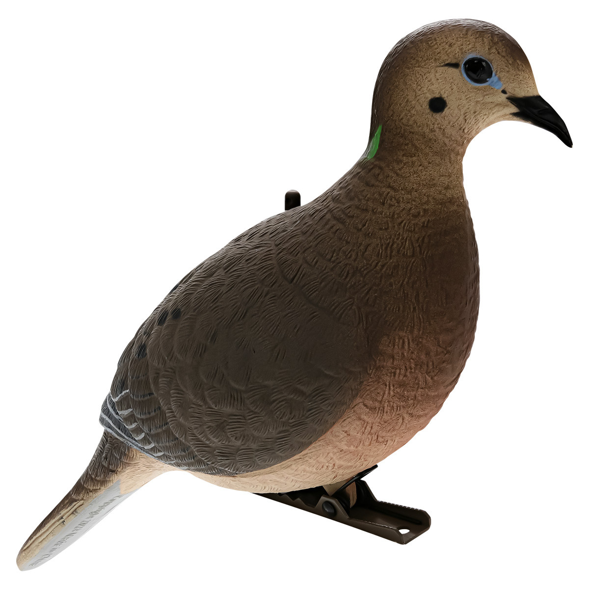 Avian-X AXP Full-Body Dove Decoys | Rogers Sporting Goods