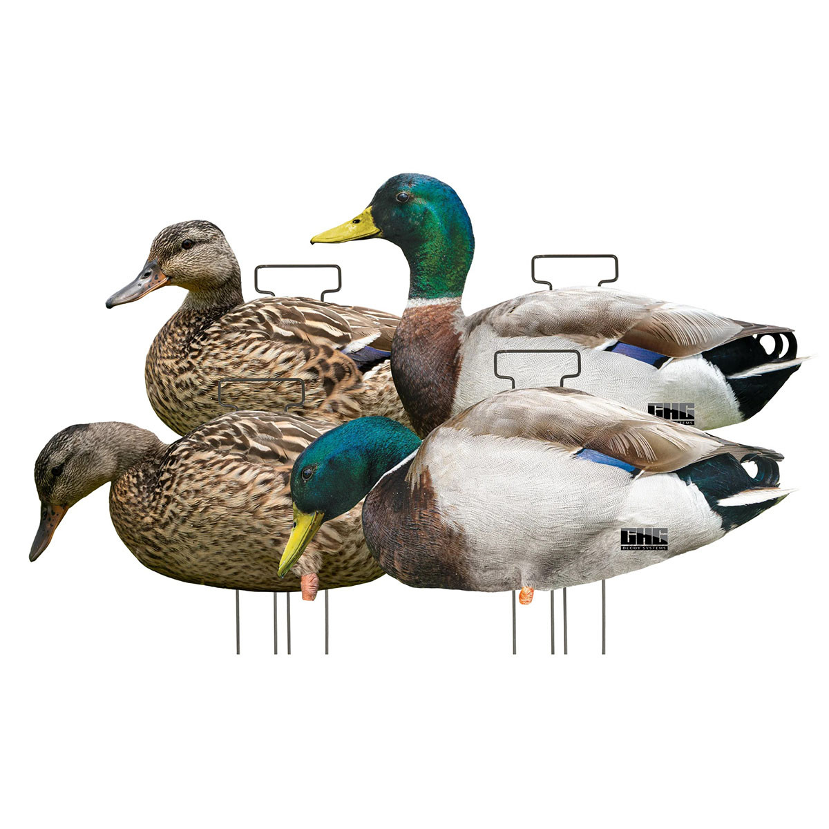 GHG Decoy Systems Pro Grade FFD Mallard Duck Silhouette Decoys | Rogers ...