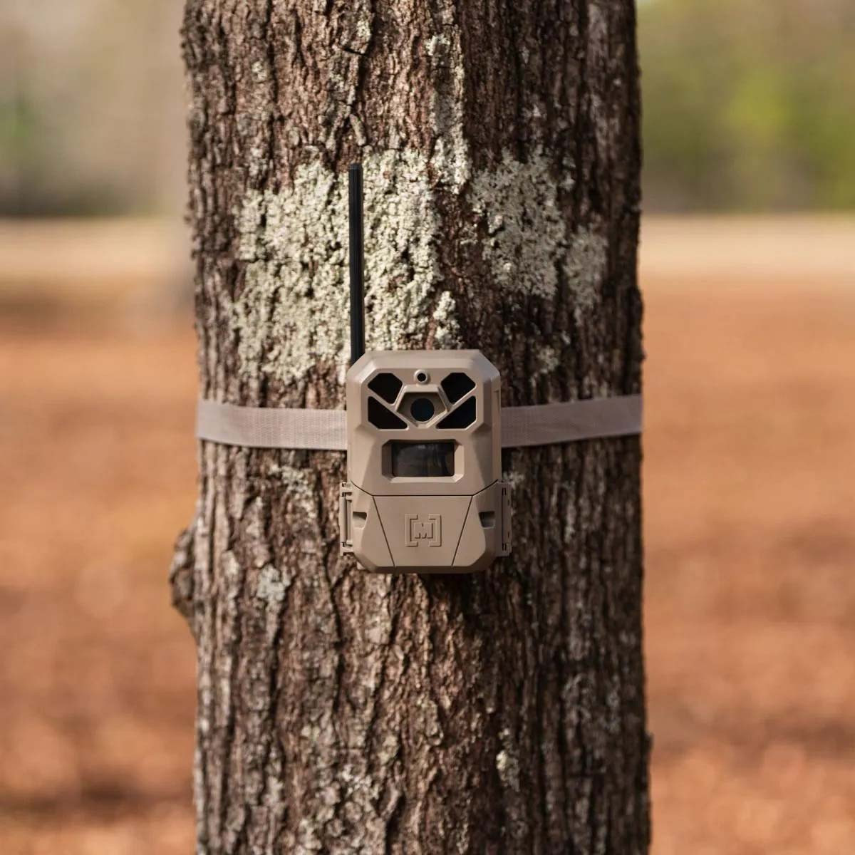 Moultrie EDGE 2 Pro Cellular Trail Camera | Rogers Sporting Goods