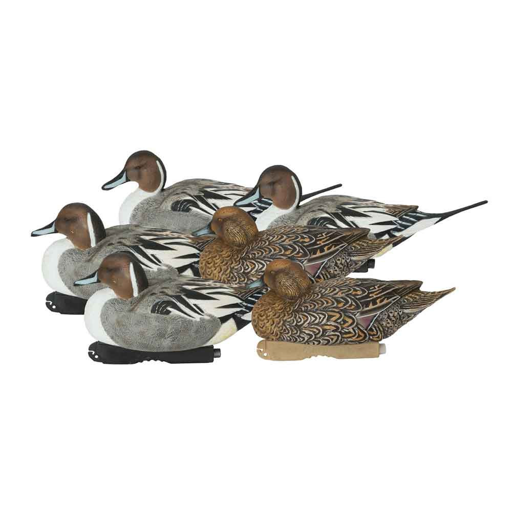 GHG Pro-Grade XD Series Pintail Harvester Duck Decoys, 6 Pack | Rogers ...