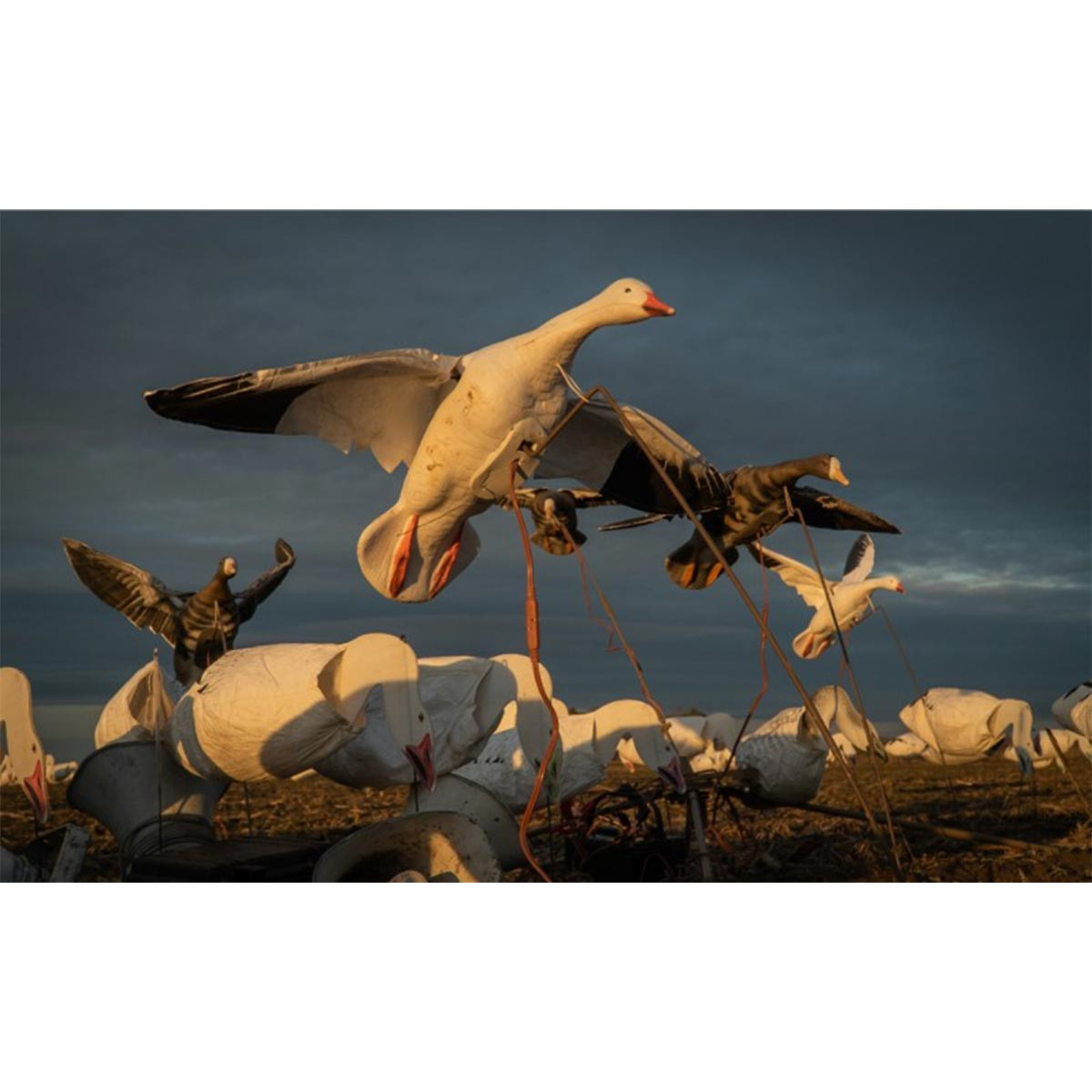 Higdon Outdoors Clone Snow Goose Flapping Decoy | Rogers Sporting Goods