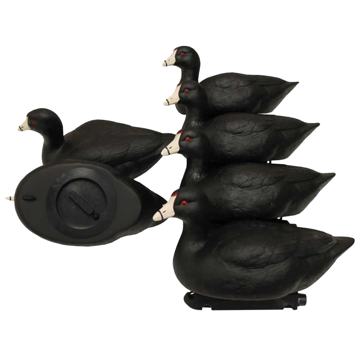 Mojo Outdoors Mojo Coot Confidence Duck Decoys | Rogers Sporting Goods