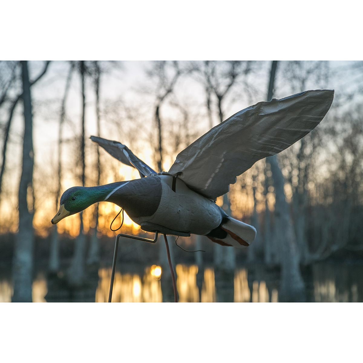 Higdon Outdoors Clone Drake Mallard Flapping Decoy | Rogers Sporting Goods