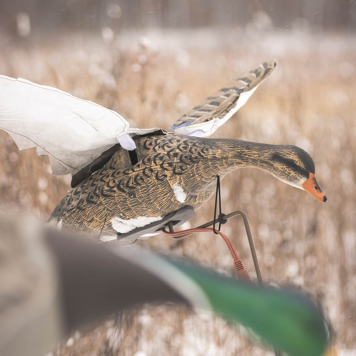 Higdon Outdoors Clone Mallard Hen Flapping Decoy | Rogers Sporting Goods
