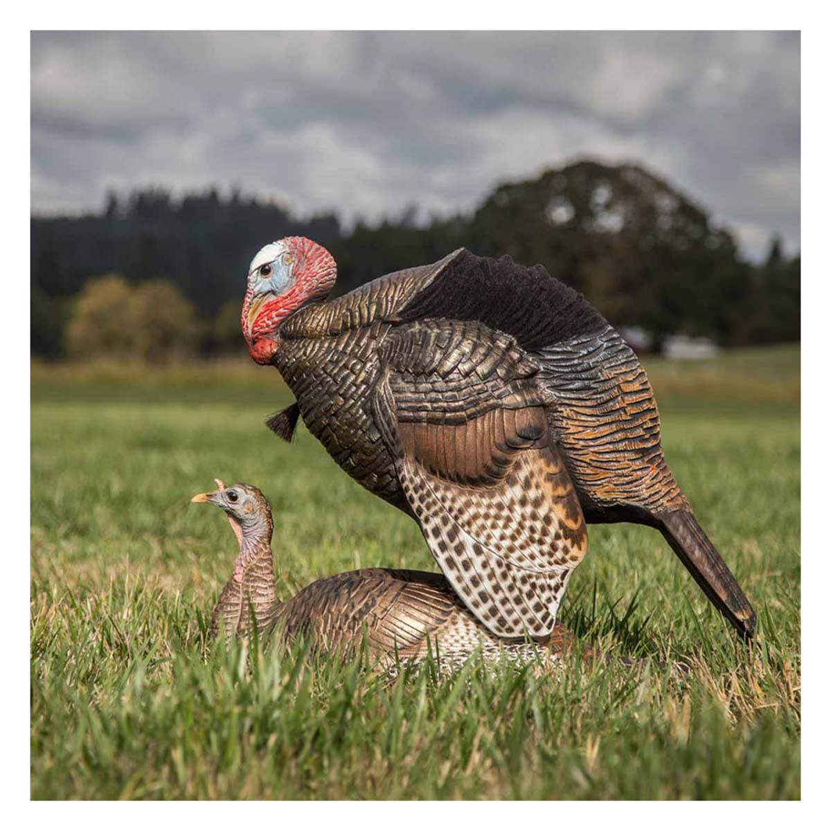 Dave Smith Decoys Mating Motion Pair - Realistic Jake & Hen Set Turkey ...