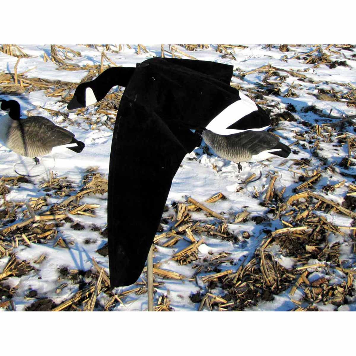 Heavy Hauler Cupped and Committed Motion Decoy, Canada Goose Single ...
