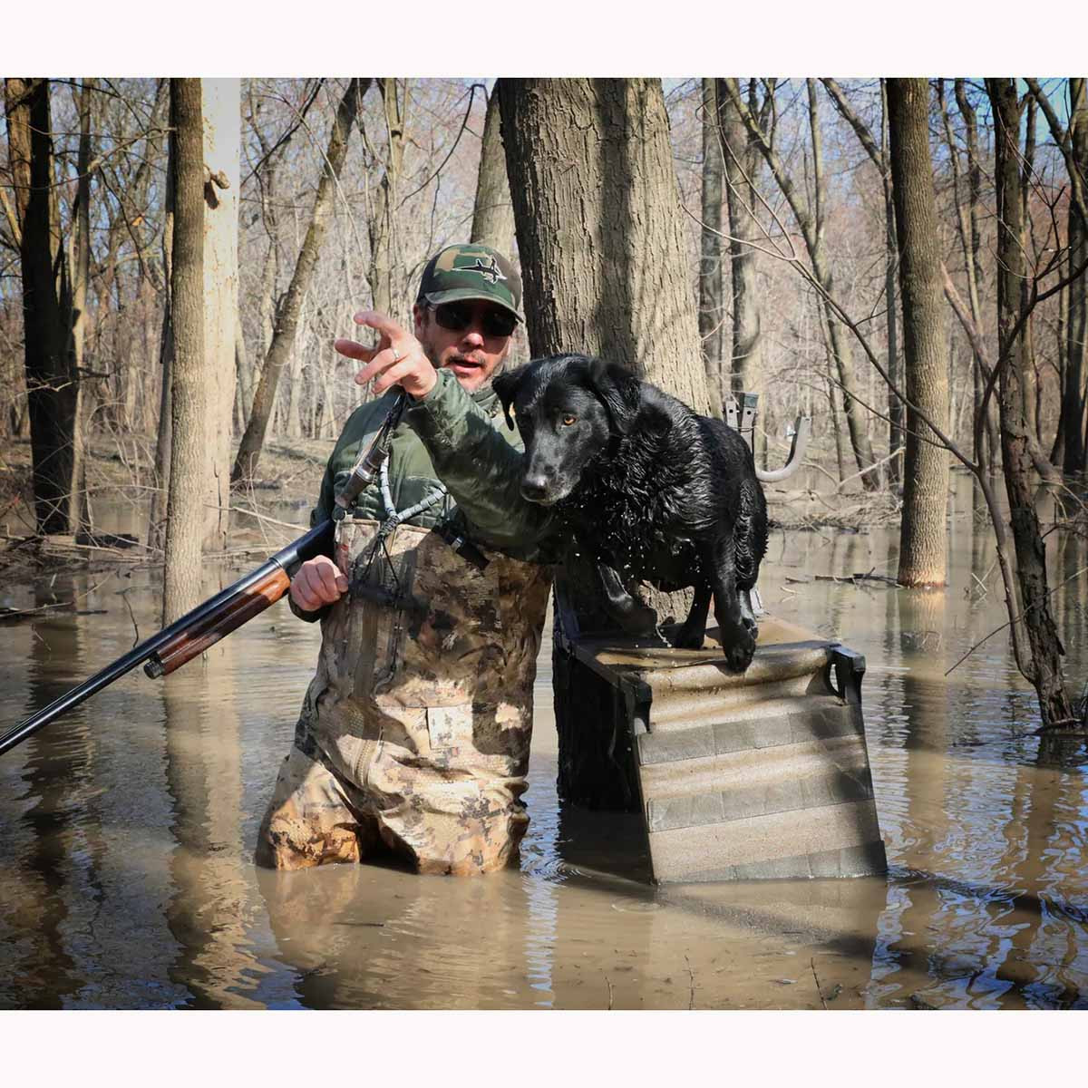 MOmarsh Dog Ramp Stand | Rogers Sporting Goods