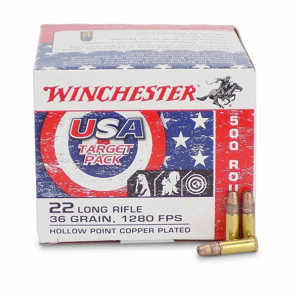 Hollow Point Bullets 22