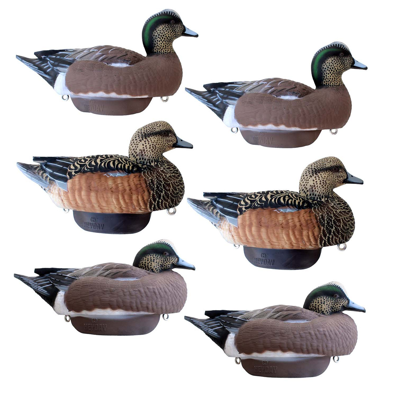 Heyday Outdoors HydroFoam Wigeon Duck Decoys | 6 Pack | Rogers Sporting ...
