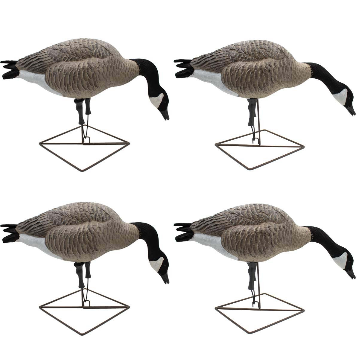 Final Approach Live Full Body Feeder Honkers, 4 Pack | Rogers Sporting ...