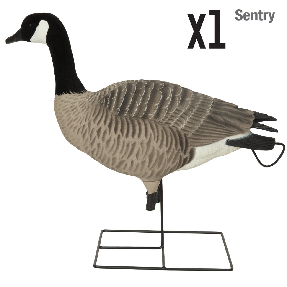 GHG XD Series Full-Body Honkers | Active 4 Pack | Rogers Sporting Goods