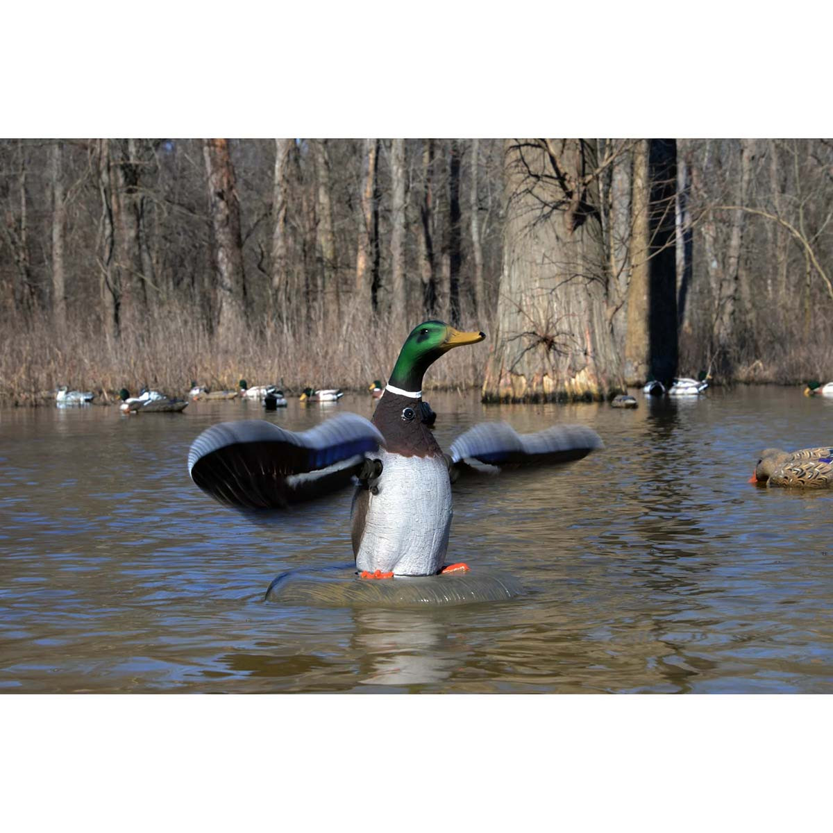 Higdon Outdoors 53072 Mallard Drake XS Floater Flasher Decoy with 12V ...