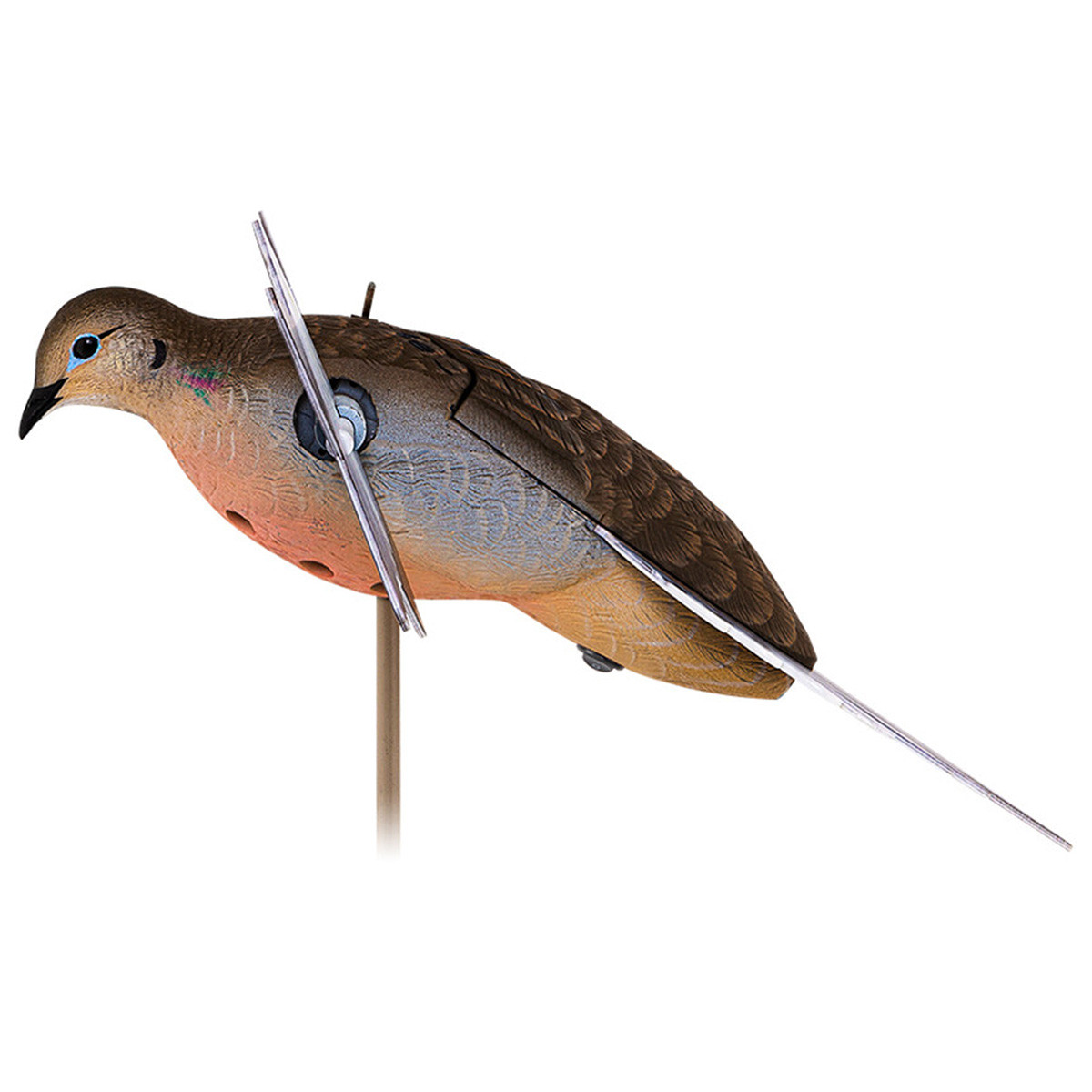 Avian X Powerflight Spinning Wing Dove | Rogers Sporting Goods