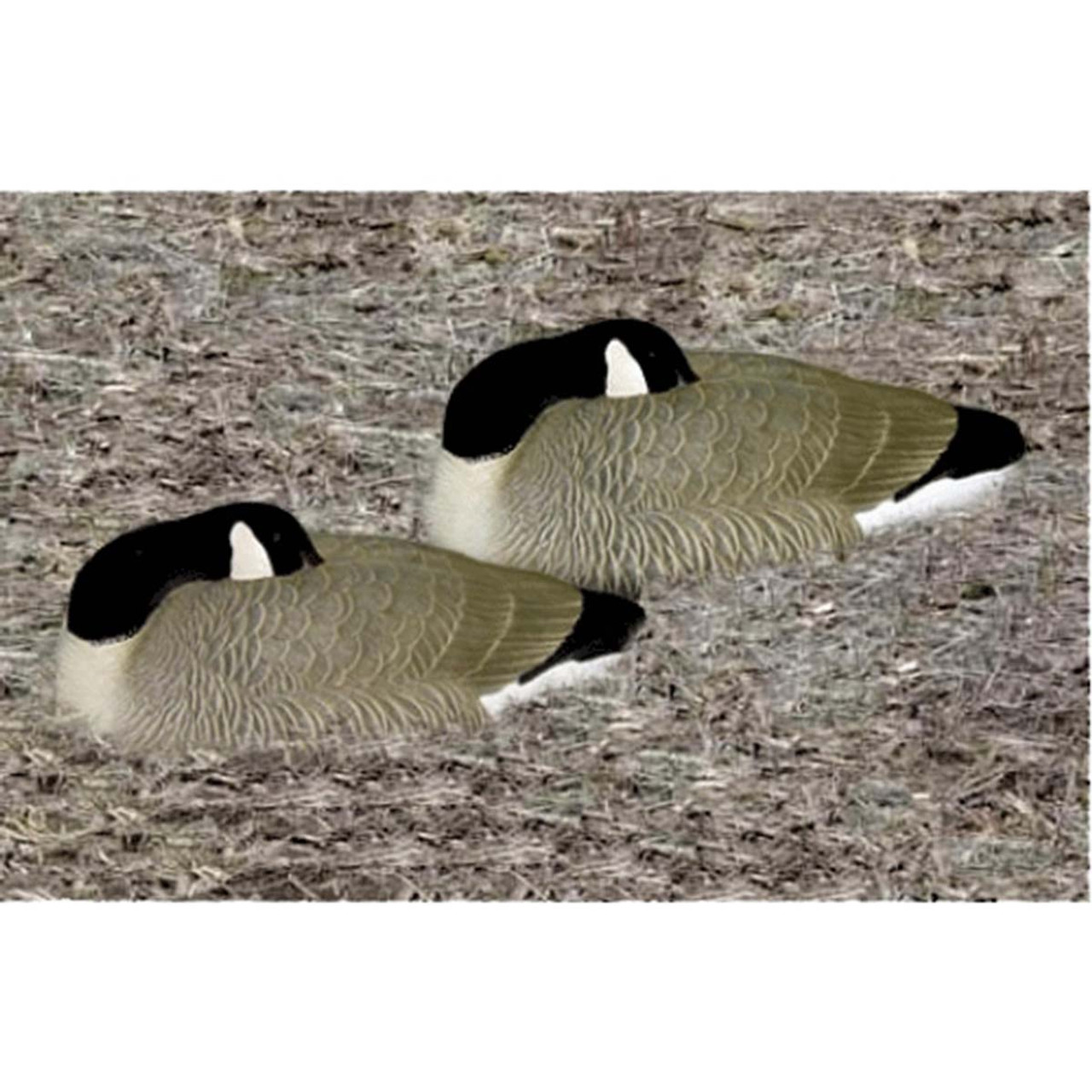 Big Foot B2 Canada Goose Sleeper Shells - 6 Pack | Rogers Sporting Goods