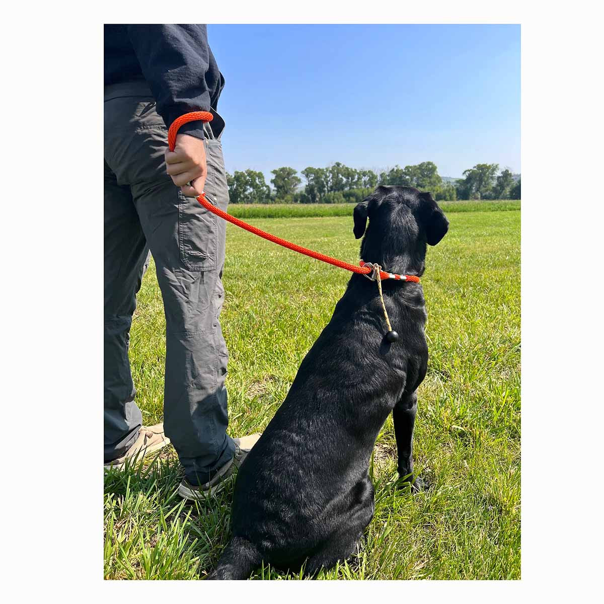 GunDog Quick Release Slip Lead | Rogers Sporting Goods