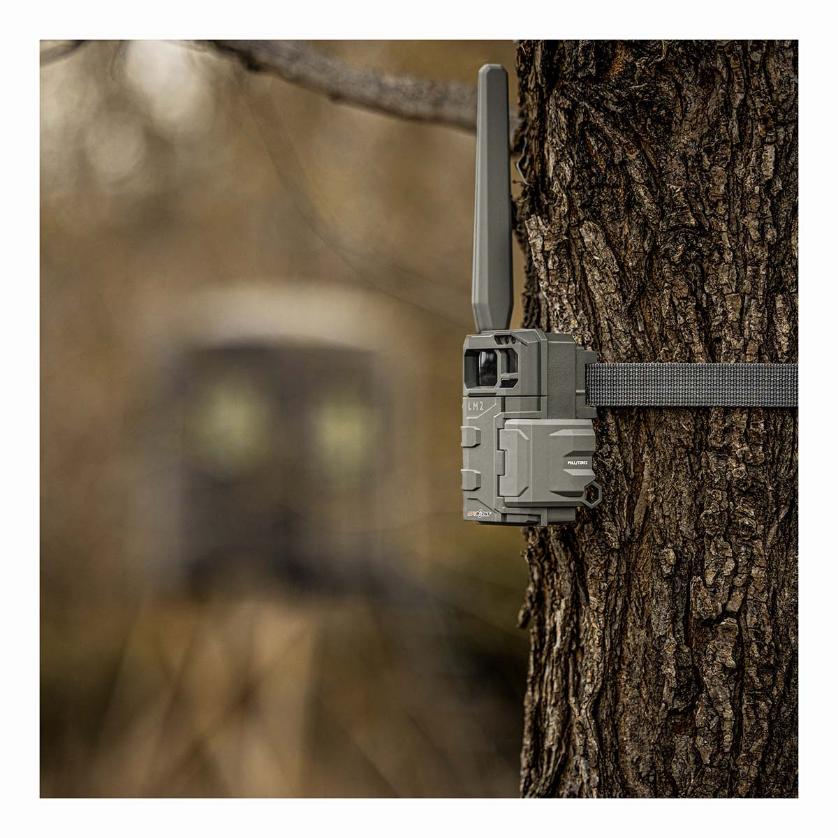 Spypoint LM2 Cellular Game/Trail Camera | Rogers Sporting Goods
