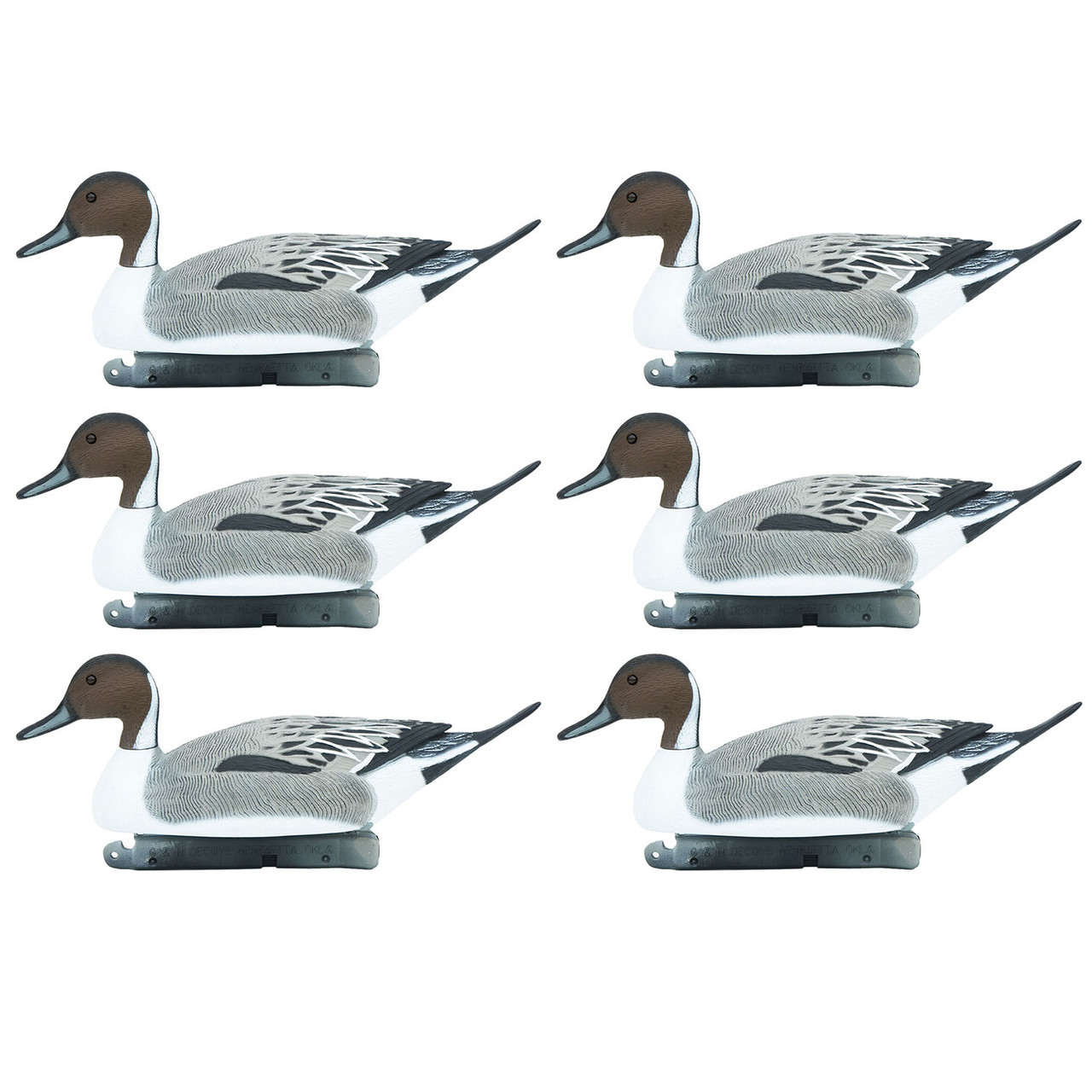 G&H Decoys Pintail Oversize Drake Only Duck Decoys | Rogers Sporting Goods