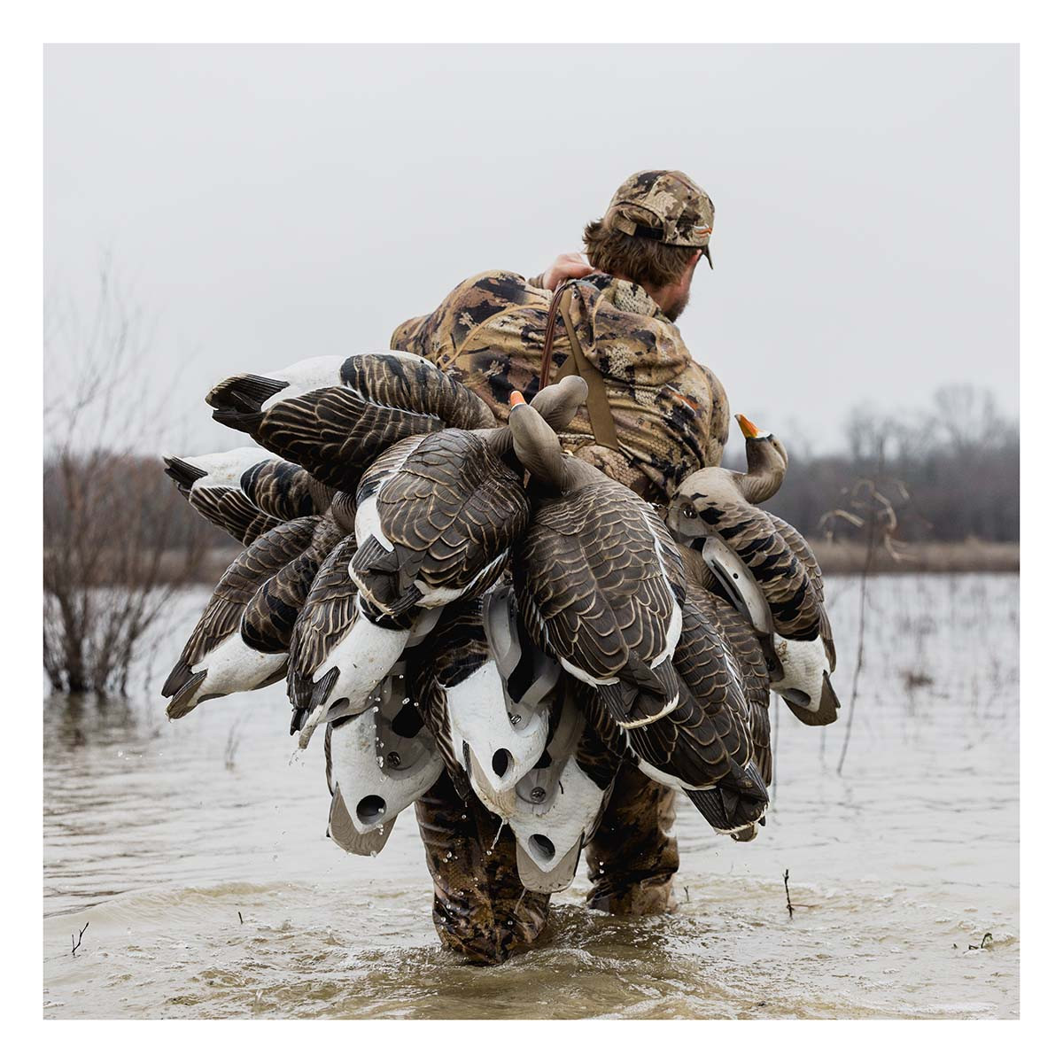 Heyday Hydrofoam Specklebelly Goose Floaters | Rogers Sporting Goods