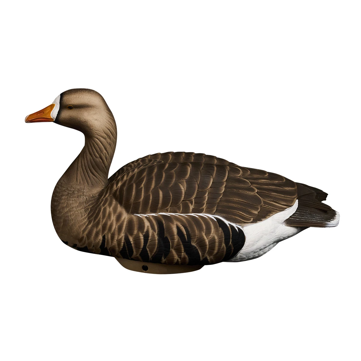 Heyday Hydrofoam Specklebelly Goose Floaters | Rogers Sporting Goods