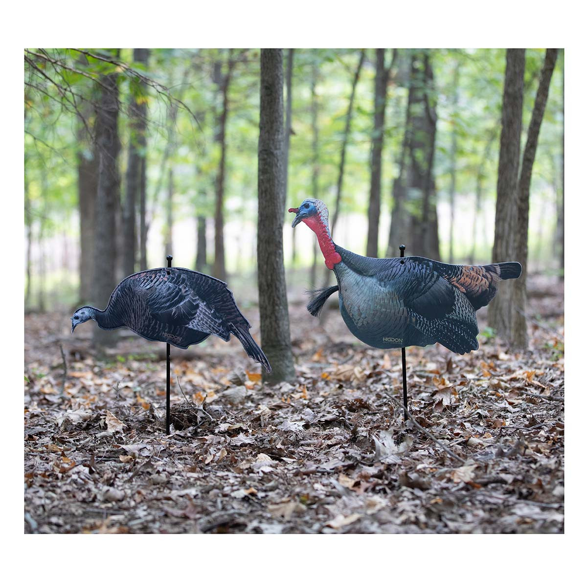Higdon Outdoors FLEX Upright Tom and Feeding Hen Silhouette Turkey ...