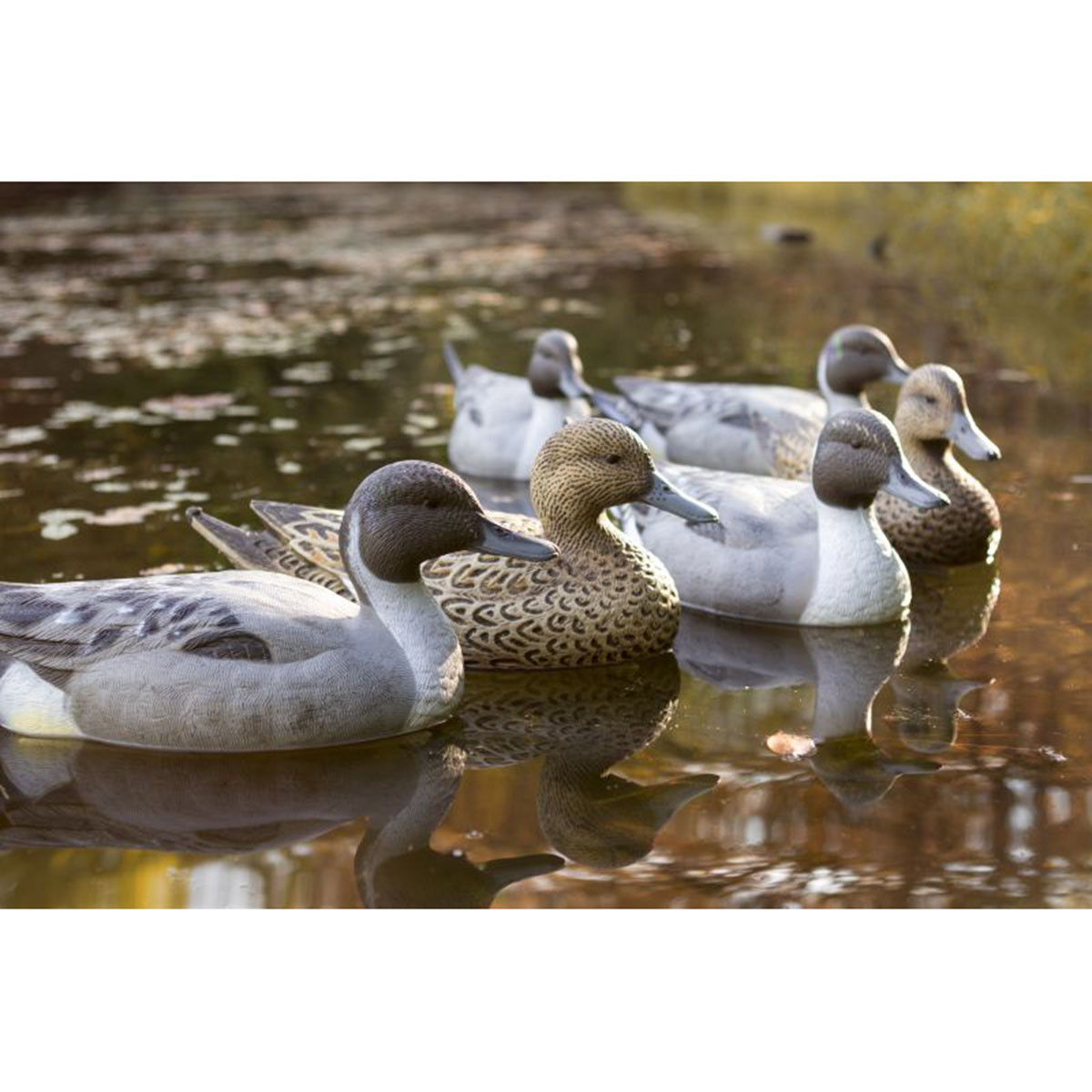 Flambeau Storm Front 2 Classic Floater Pintail Duck Decoys, 6 Pack | 6 ...