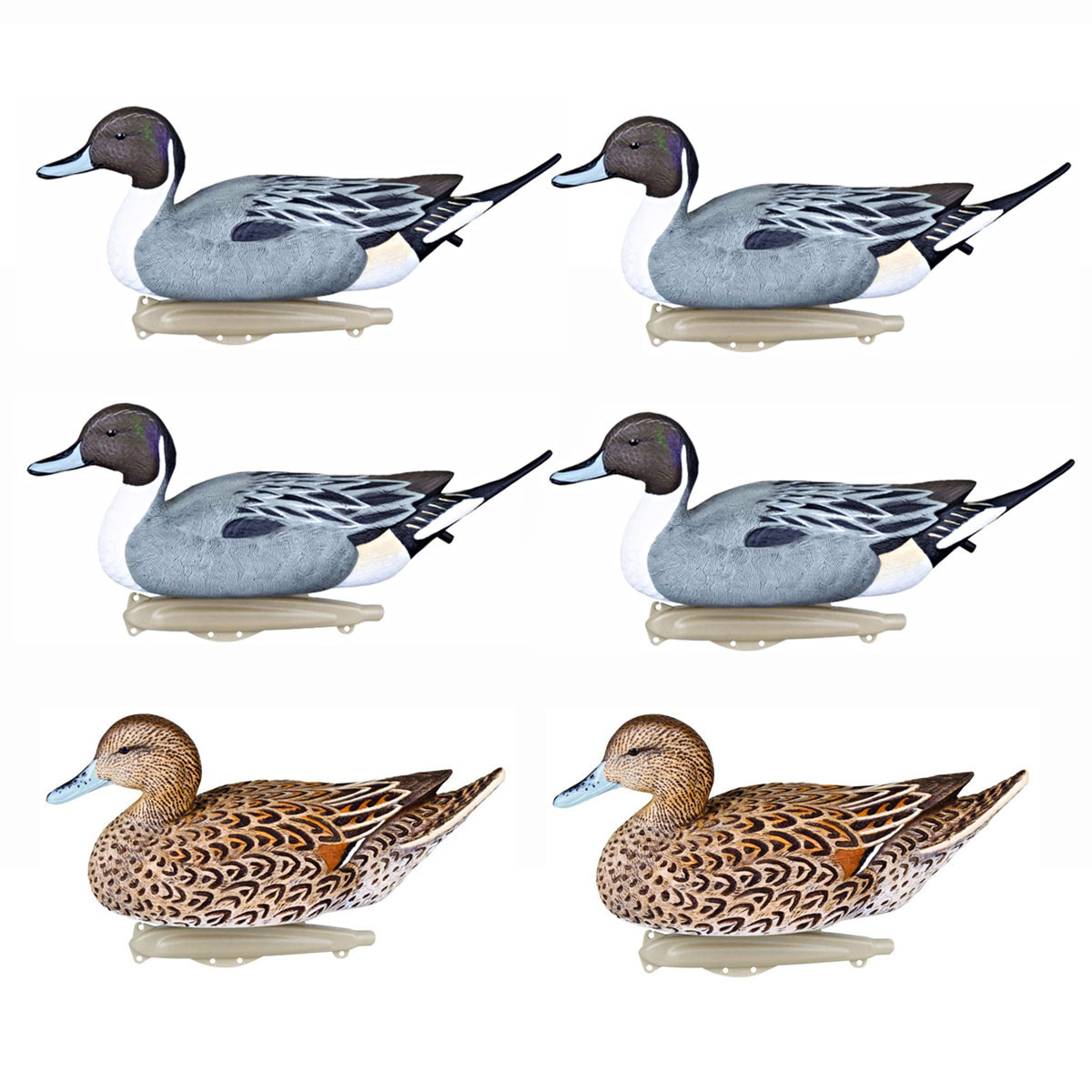 Flambeau Storm Front 2 Classic Floater Pintail Duck Decoys, 6 Pack | 6 ...