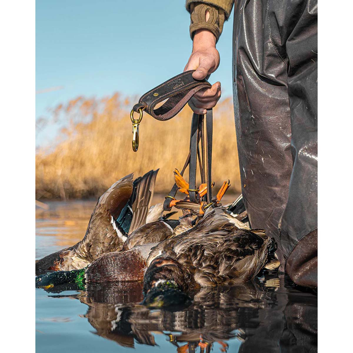Avery Heritage Game Strap | Rogers Sporting Goods