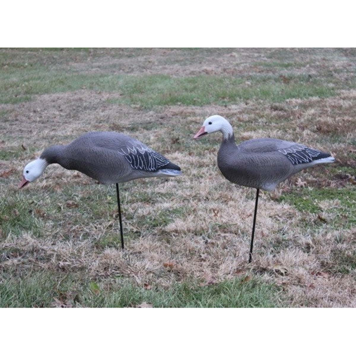 Bigfoot Blue Goose Decoys with Motion Stakes, 6 Pack | Rogers Sporting ...