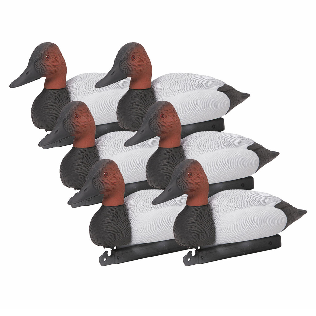 G&H Decoys Canvasback Drake Duck Decoys, 6 Pack | Rogers Sporting Goods