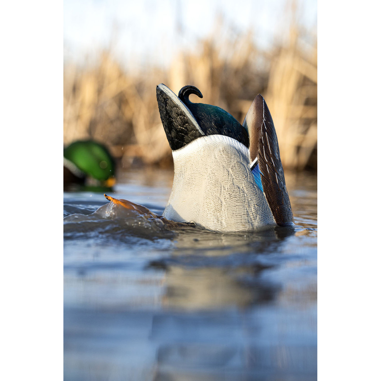 Avian-X Power Kicker Floating Duck Decoys | Rogers Sporting Goods